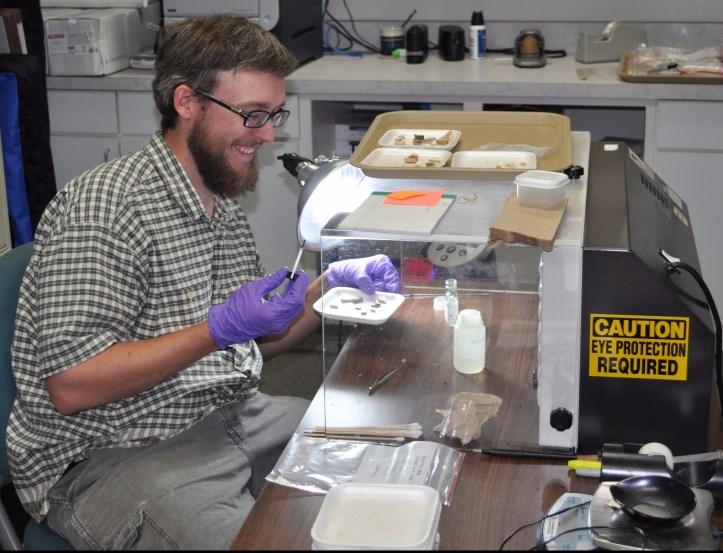 Volunteers-In-Parks (U.S. National Park Service)