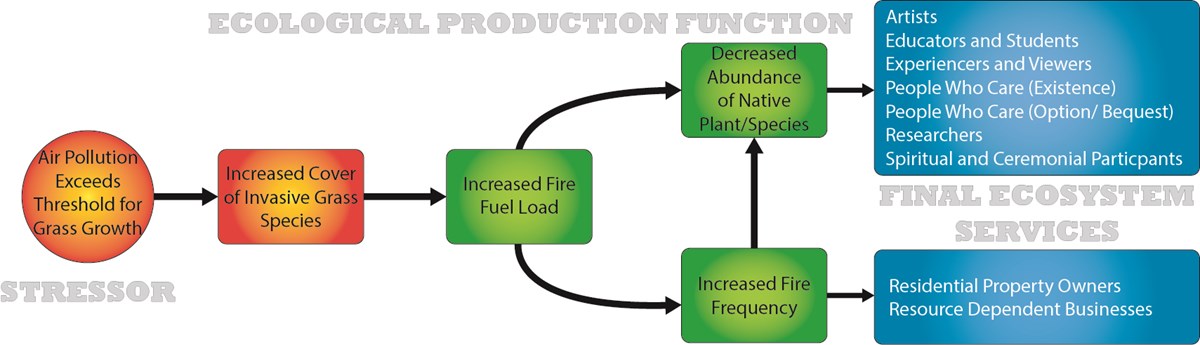 Air Quality and Ecosystem Services (U.S. National Park Service)