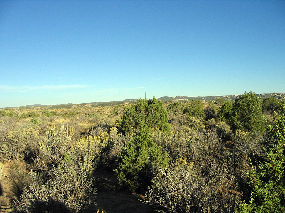 Modeling Past and Future Soil Moisture in Southern Colorado Plateau ...