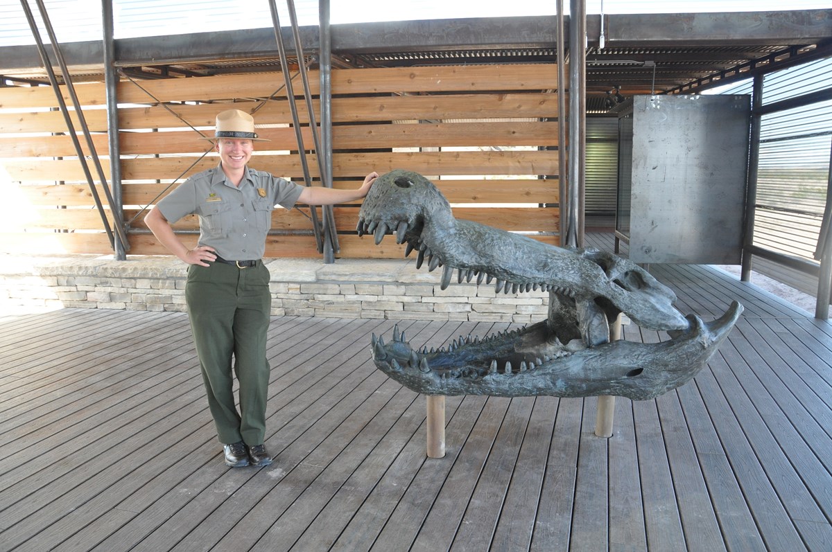 Fossil Discovery Exhibit at Big Bend National Park (U.S. National Park ...