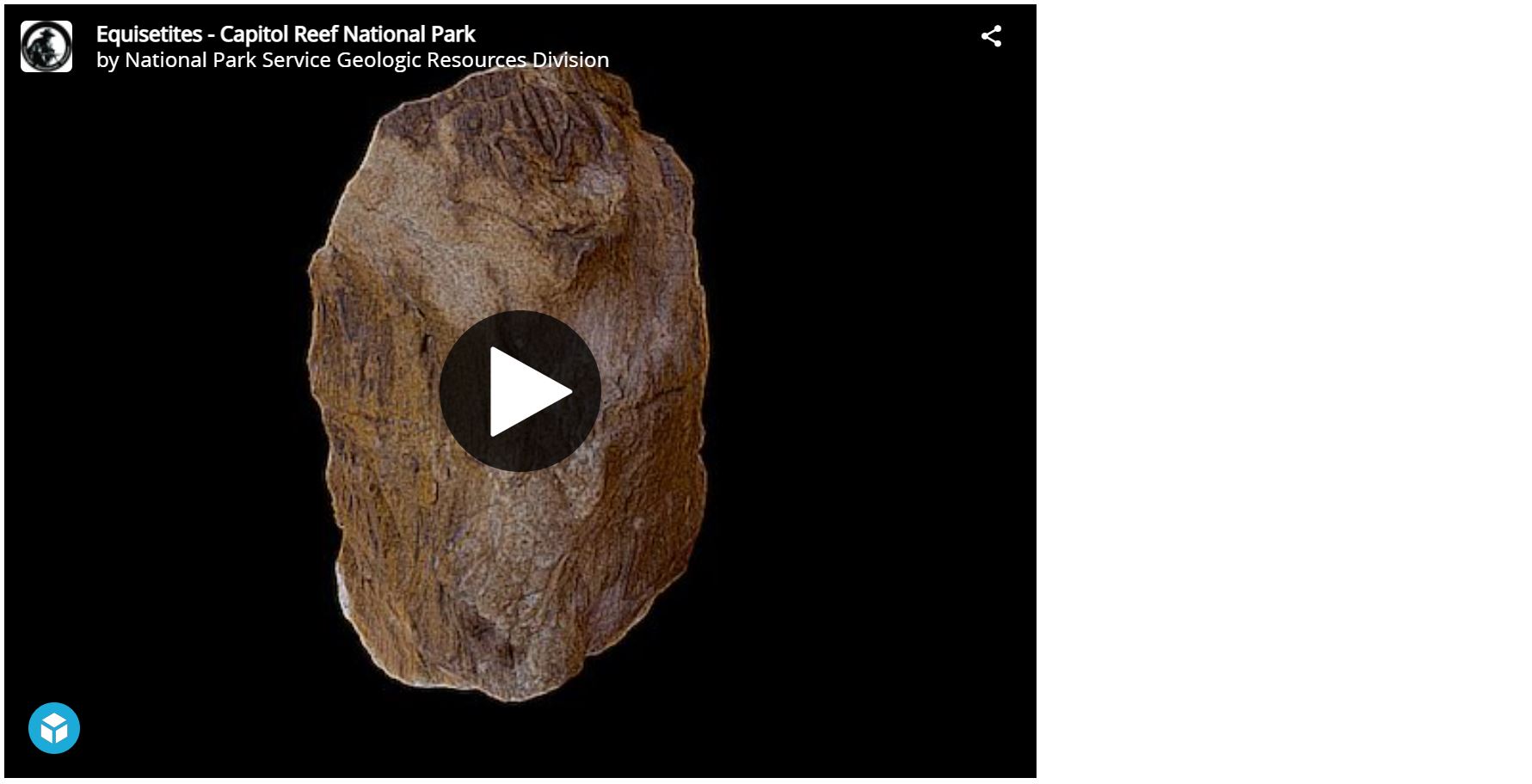 Paleontological Modeling Example—'Equisetites' (U.S. National Park Service)