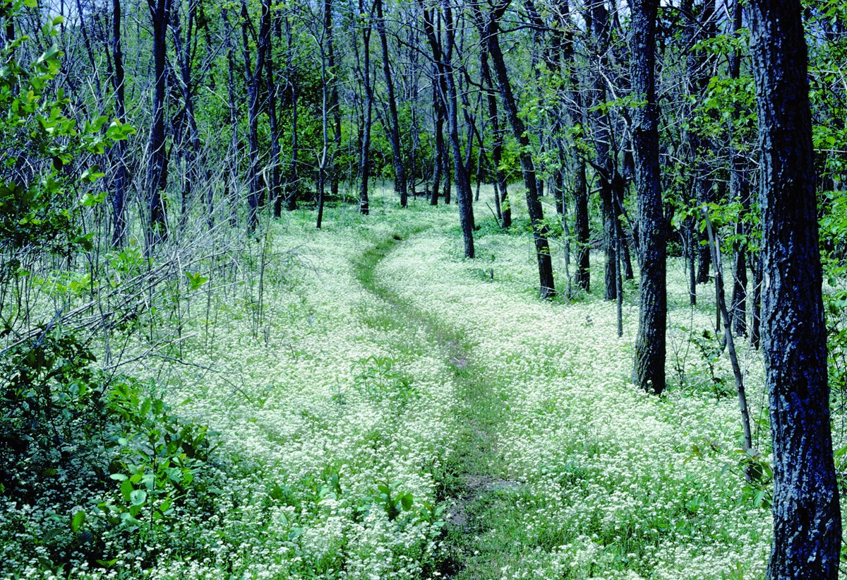 Appalachian National Scenic Trail (U.S. National Park Service)