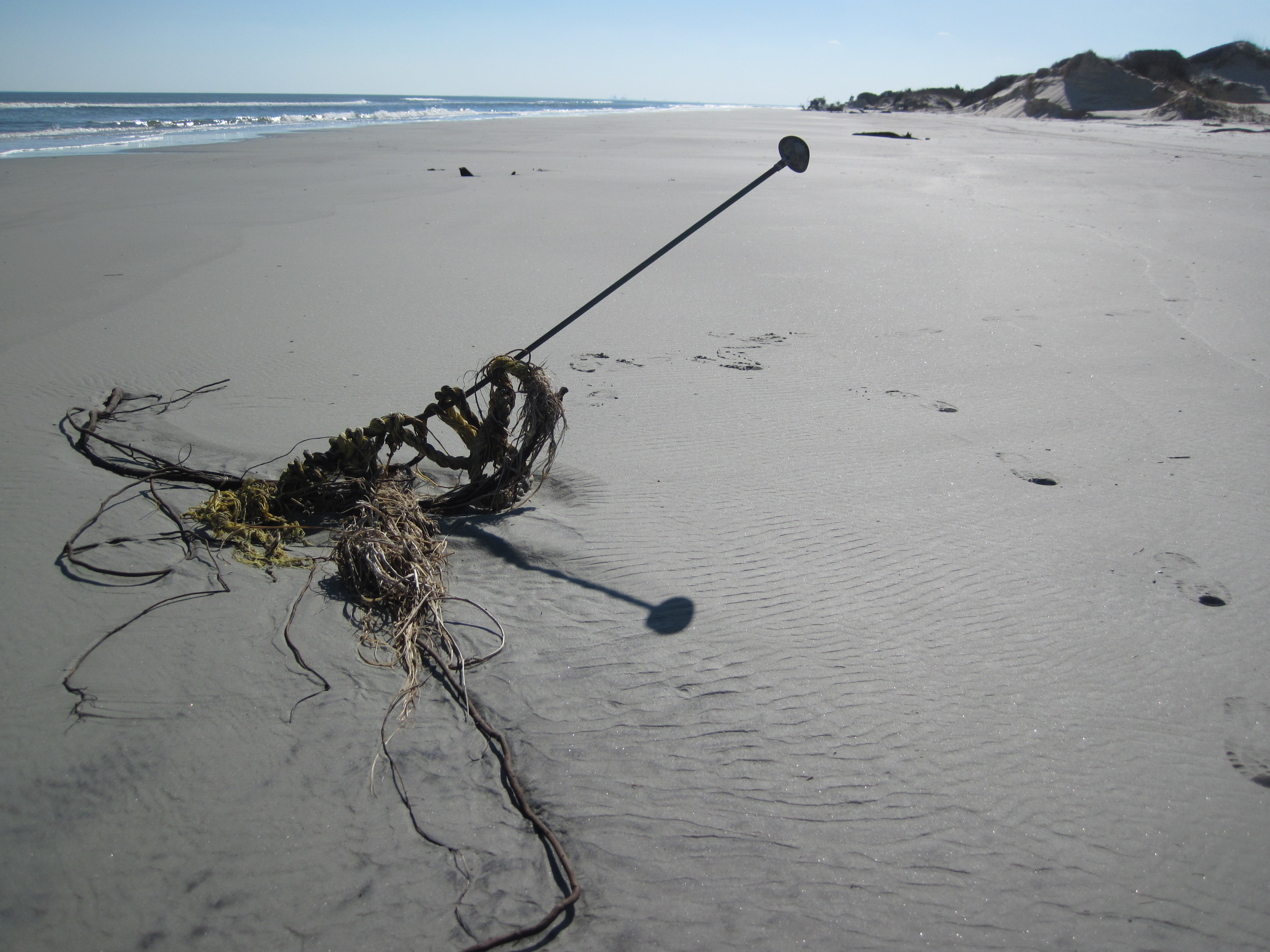 Southeast Coast Network News April 2017 (U.S. National Park Service)