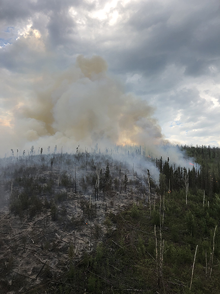 When is a Fire Likely to Start? Fires, Fire Ecology, and Education (U.S ...