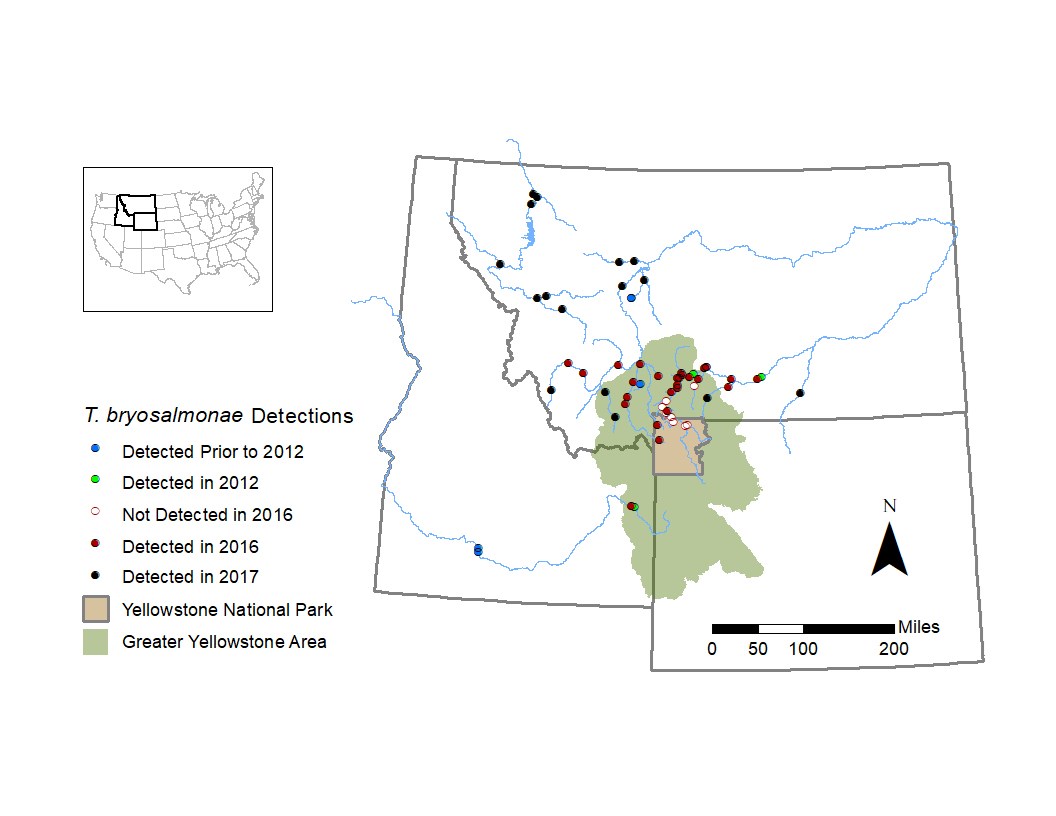 SHORT: The Yellowstone River Fish-Kill (U.S. National Park Service)