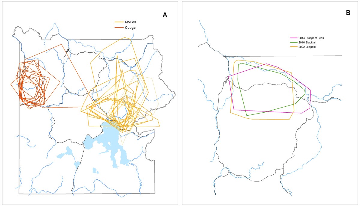 Wolf Turf: A Glimpse at 20 Years of Wolf Spatial Ecology in Yellowstone ...