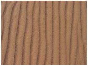 Monitoring Aeolian Features and Processes (U.S. National Park Service)