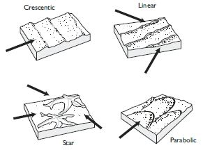Monitoring Aeolian Features and Processes (U.S. National Park Service)