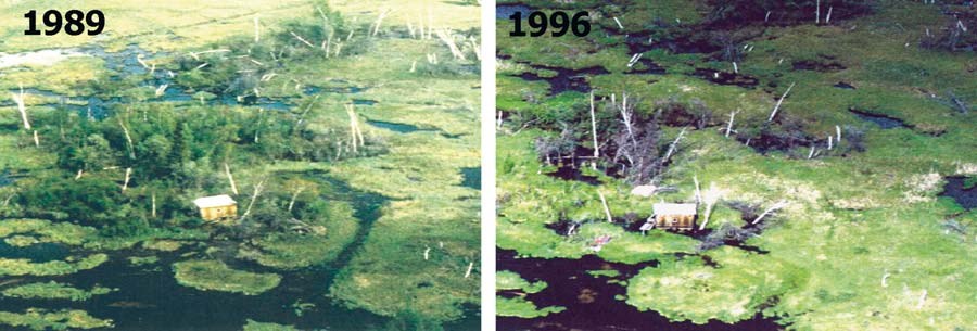 Monitoring Permafrost (U.S. National Park Service)