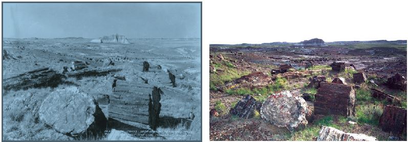 Monitoring Paleontological Resources (U.S. National Park Service)