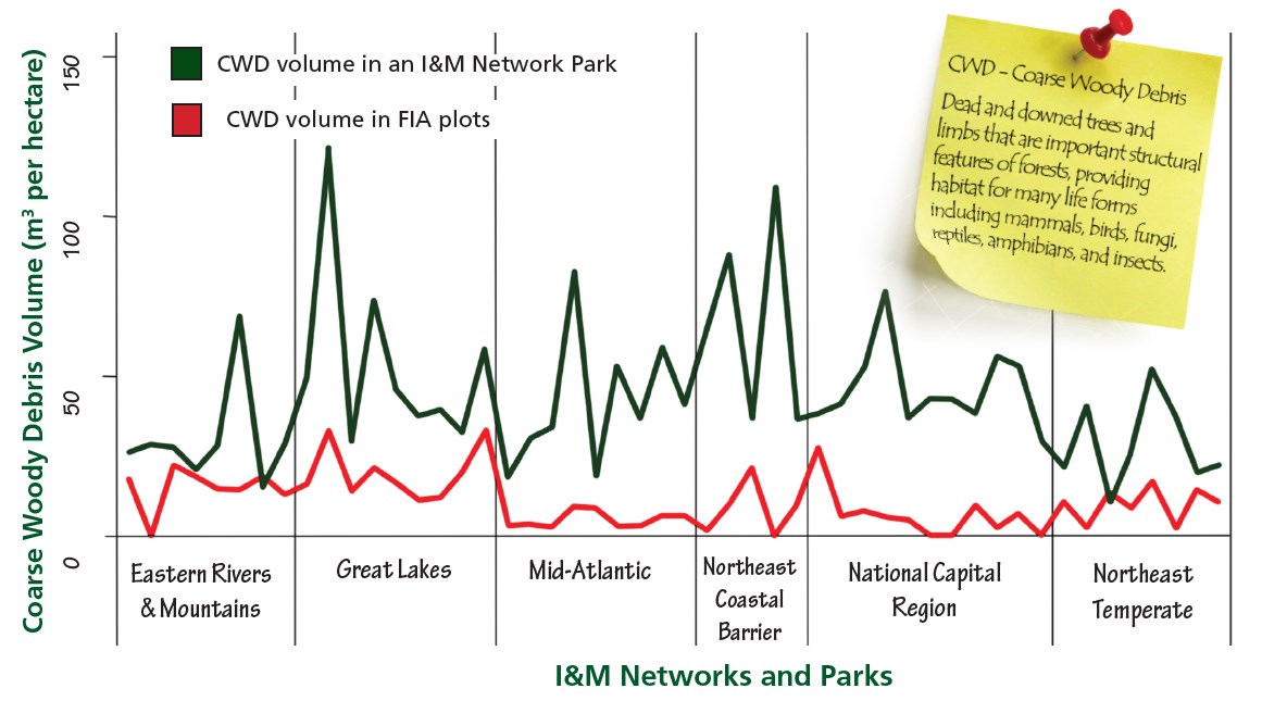 National Park Forests - More Than a Pretty Picture (U.S. National Park ...