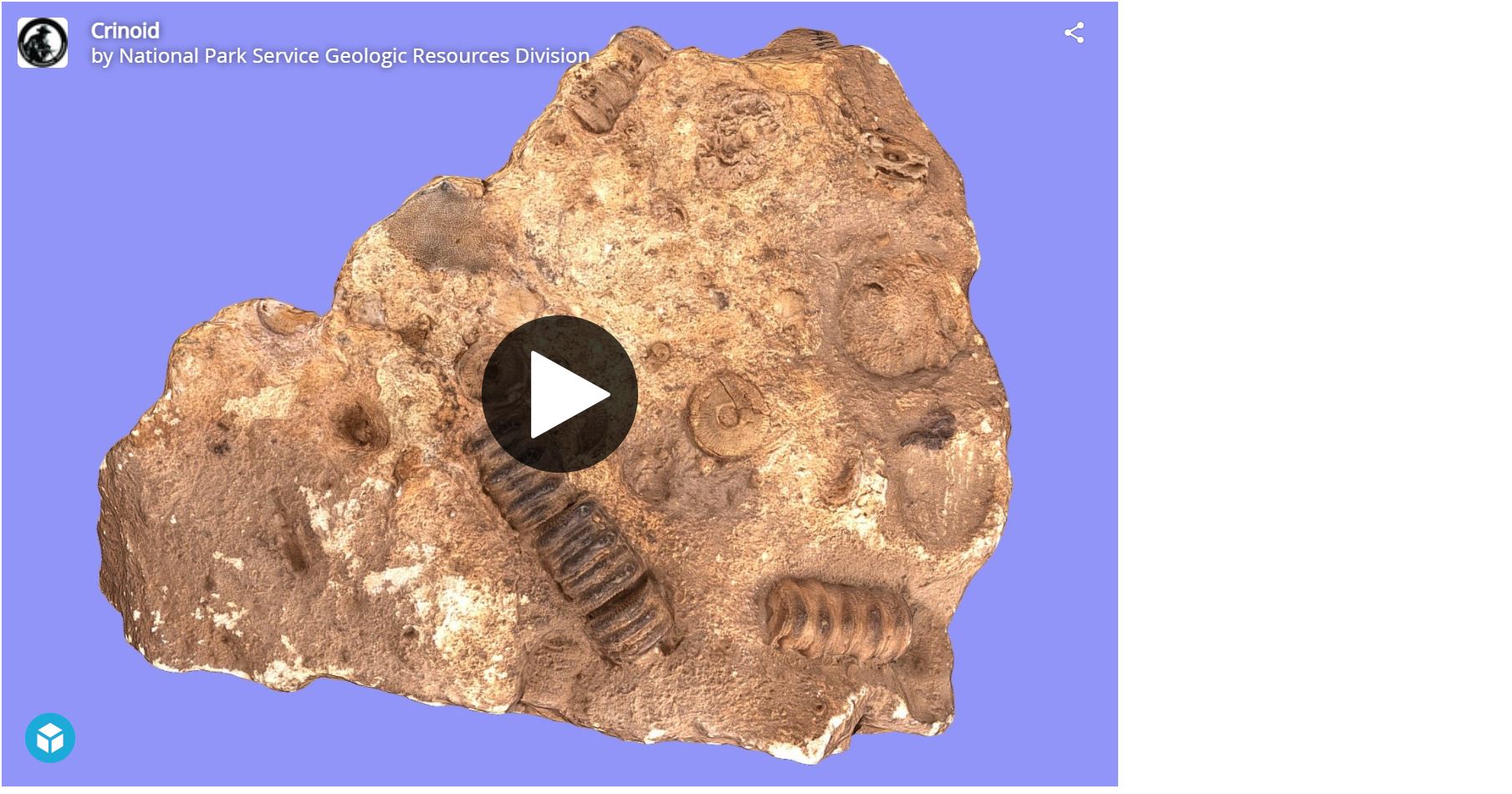 Crinoid Fossil U S National Park Service