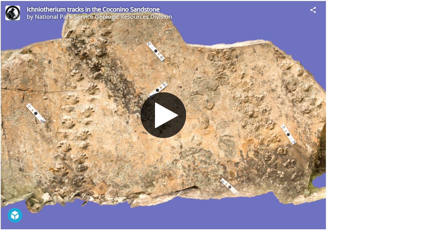 Fossil Vertebrate Trackways (U.S. National Park Service)