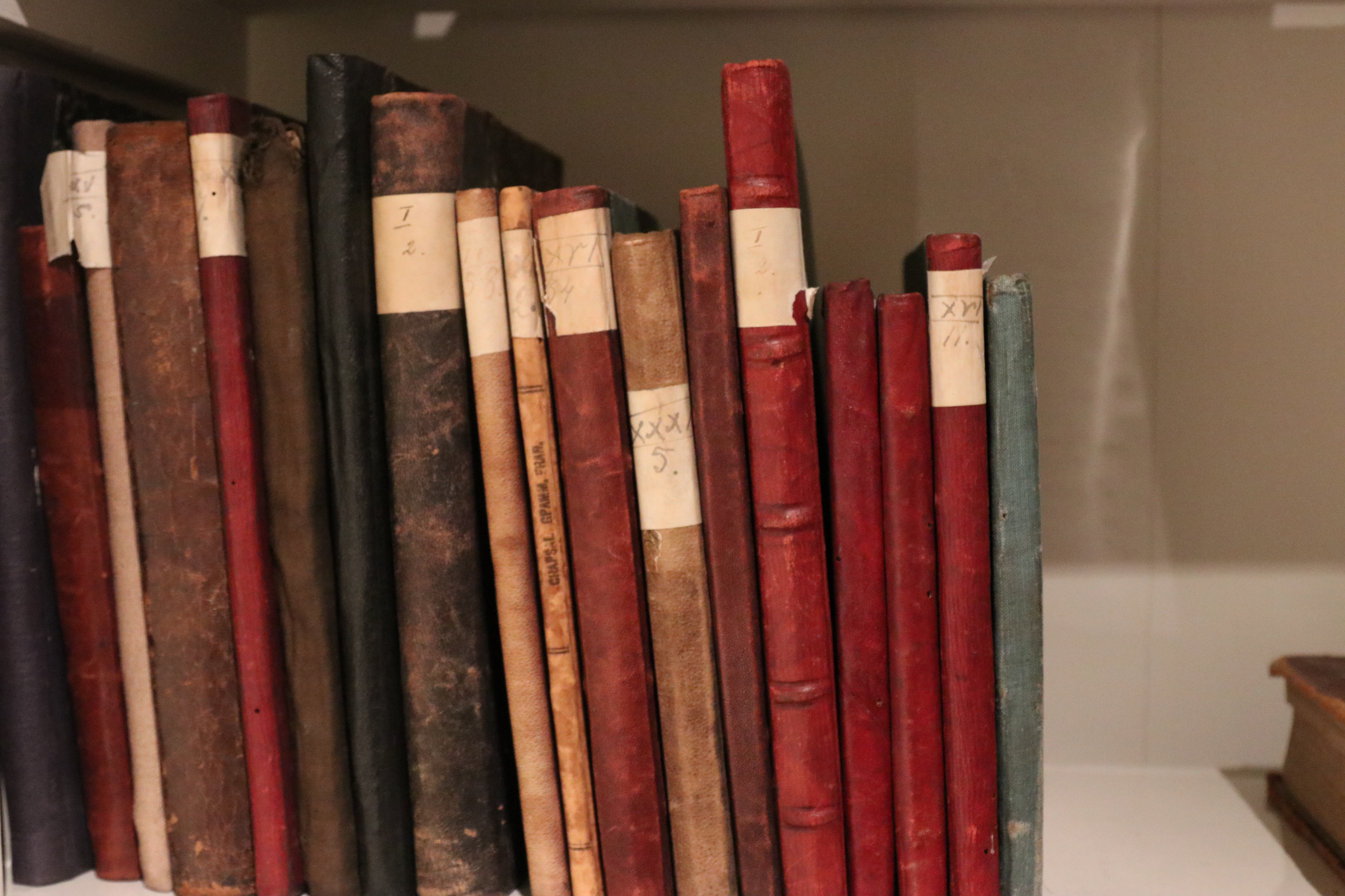 Russian Bishop's House Library (U.S. National Park Service)