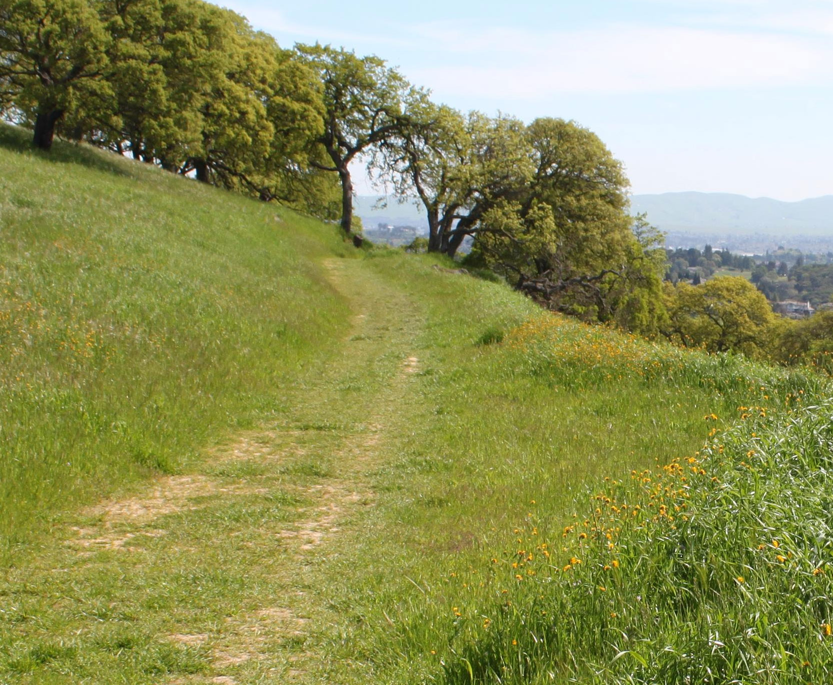 NPS Geodiversity Atlas—John Muir National Historic Site, California (U ...