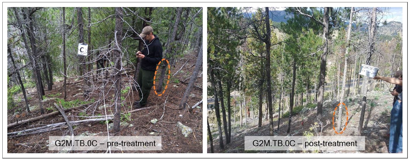 Examining Fuels Treatment Effectiveness in Rocky Mountain National Park ...