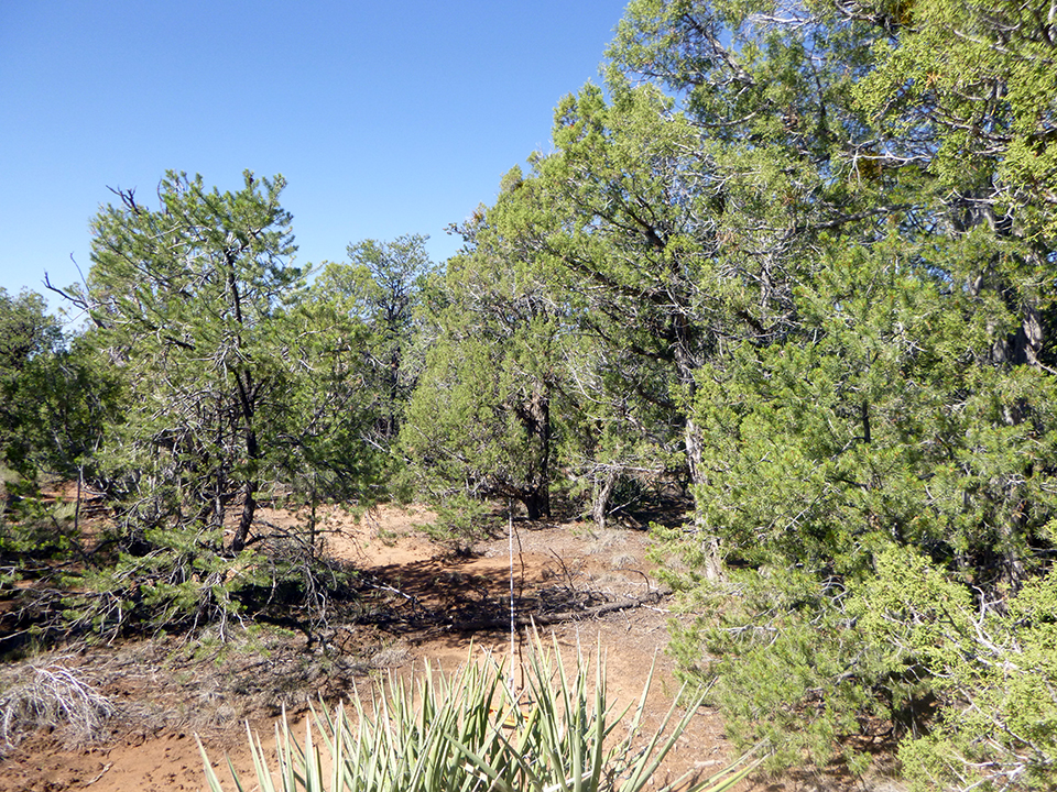 Modeling Past and Future Soil Moisture in Southern Colorado Plateau ...