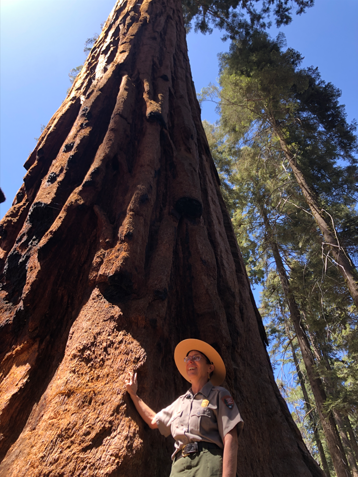 2021 Director's Awards for Natural and Cultural Resources (U.S ...