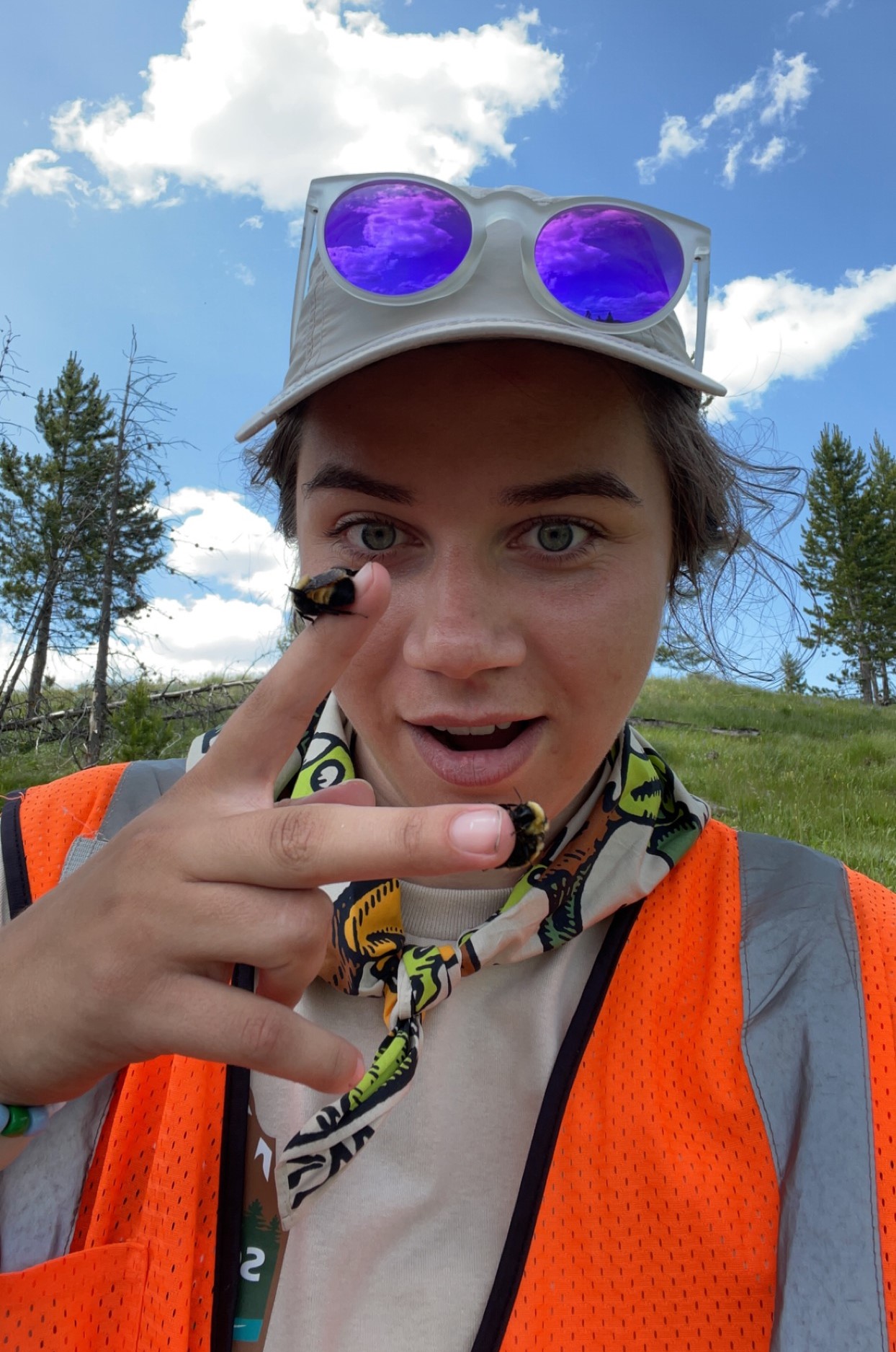 Scientist Spotlight: Pollinator Researchers Helping Parks (U.S ...