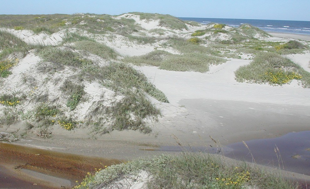 Barrier Island Response to Storms (U.S. National Park Service)