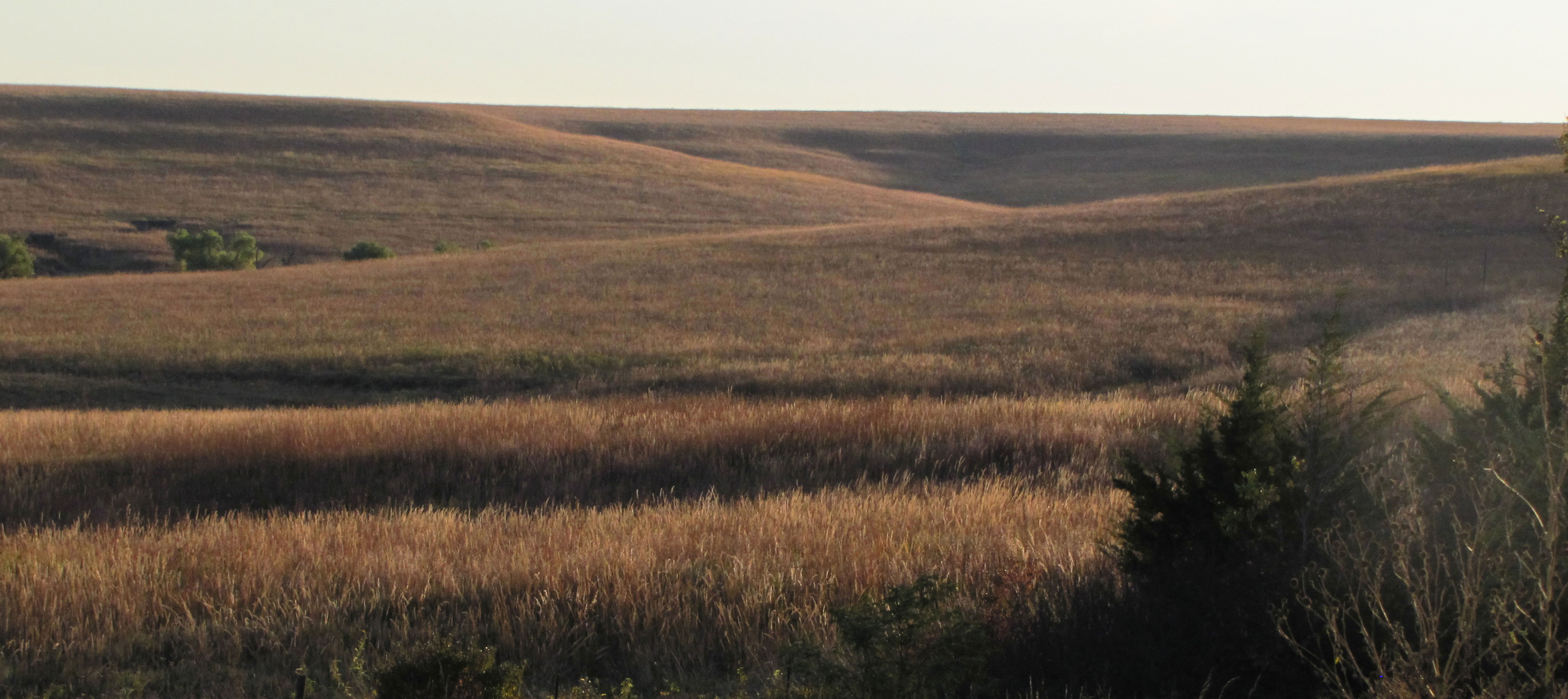Tallgrass Prairie Sunset