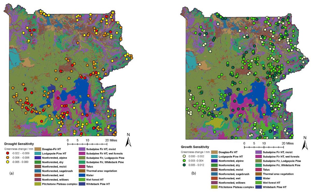 Patterns of Primary Production & Ecological Drought in Yellowstone (U.S ...