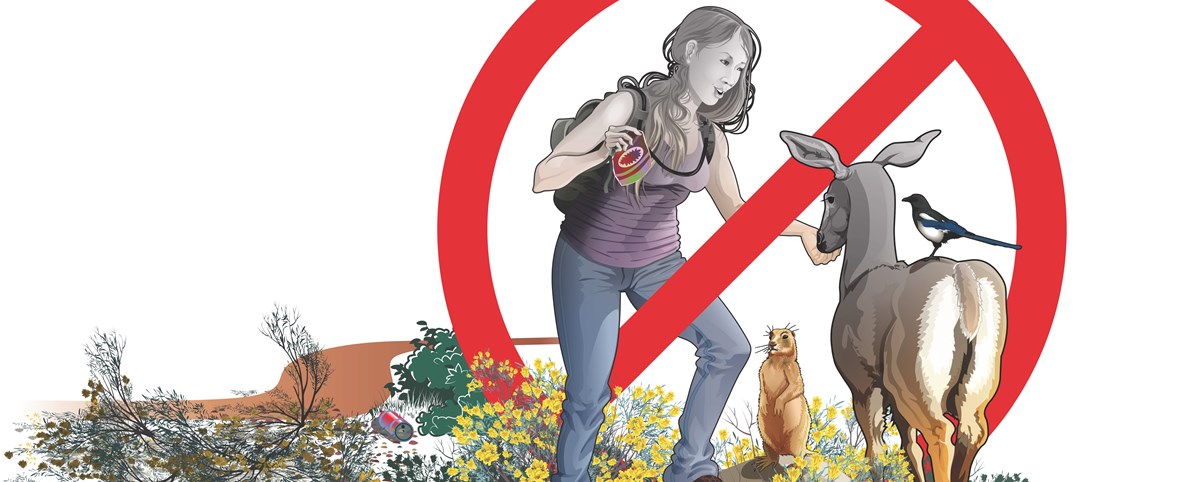 Are You An Animal Lover? (U.S. National Park Service)