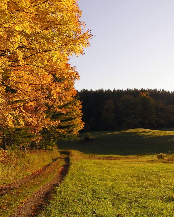 NPS Geodiversity Atlas—Marsh-Billings-Rockefeller National Historical ...