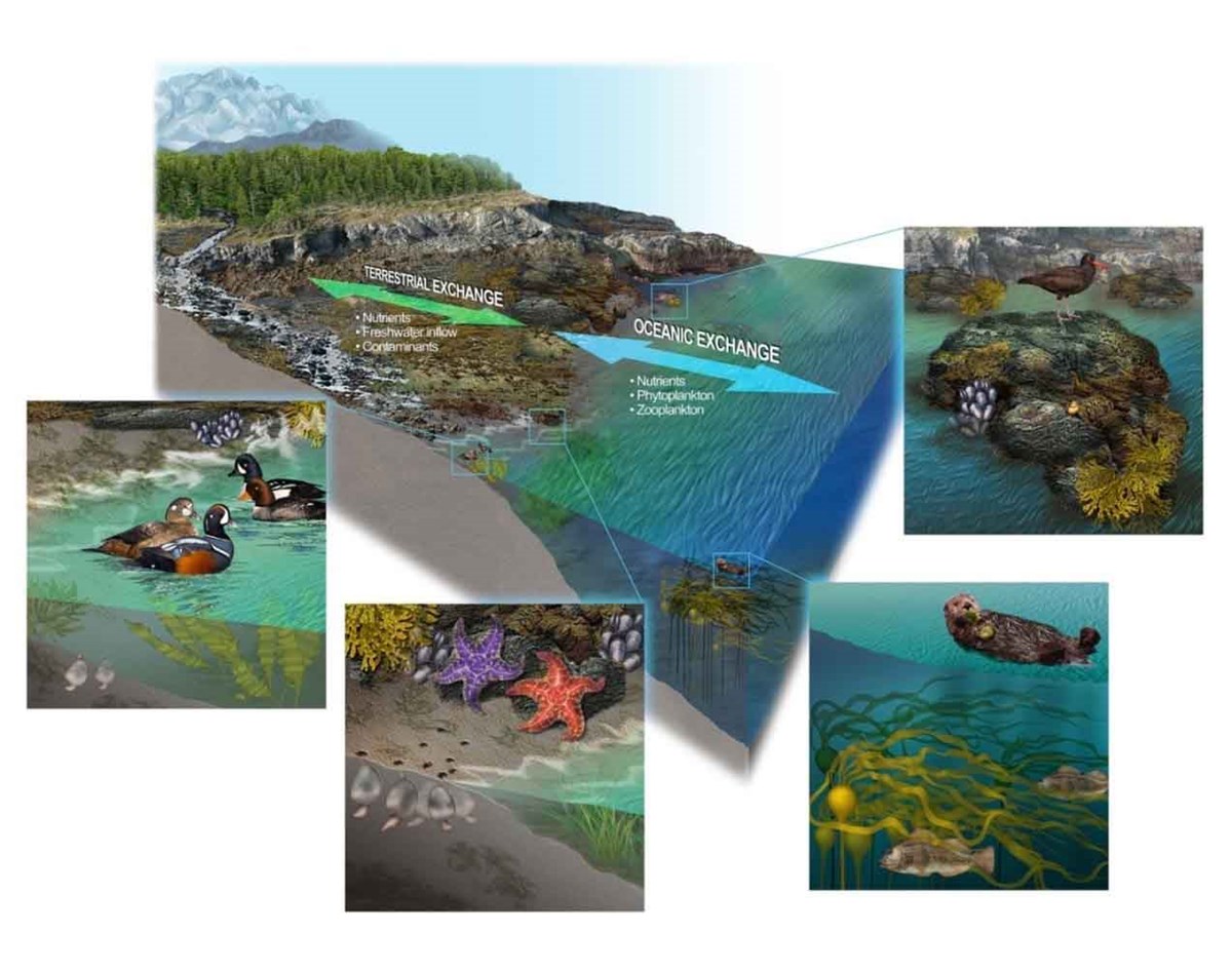 Monitoring Nearshore Marine Systems (U.S. National Park Service)