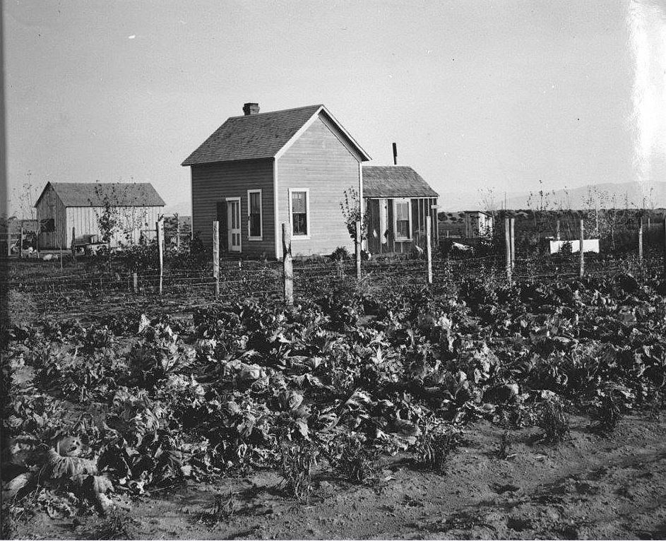"The Electric Project": The Minidoka Dam and Powerplant (Teaching with ...