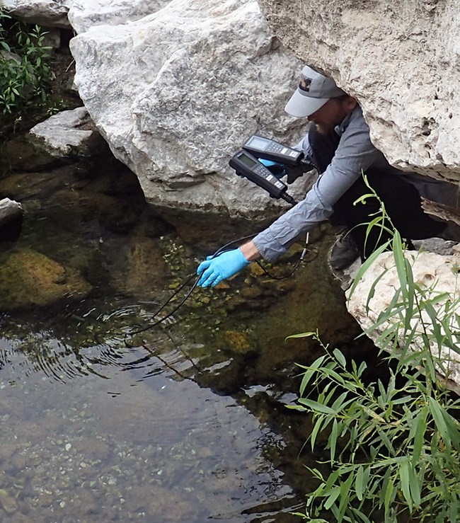 Springs Monitoring at Amistad National Recreation Area (U.S. National ...