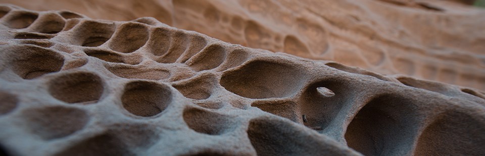 Tafoni (U.S. National Park Service)