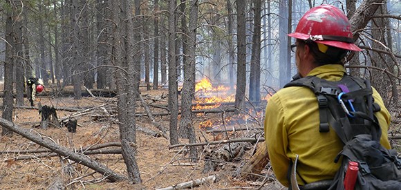 Wildland Fire: Right Response, Right Time, Right Reasons (U.S. National ...