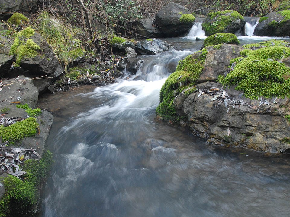 Streamflow Monitoring in the San Francisco Bay Area (U.S. National Park ...