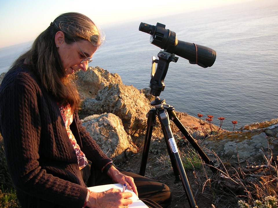 Scientist Profile: Dr. Sarah Allen, Marine Ecologist and Science ...