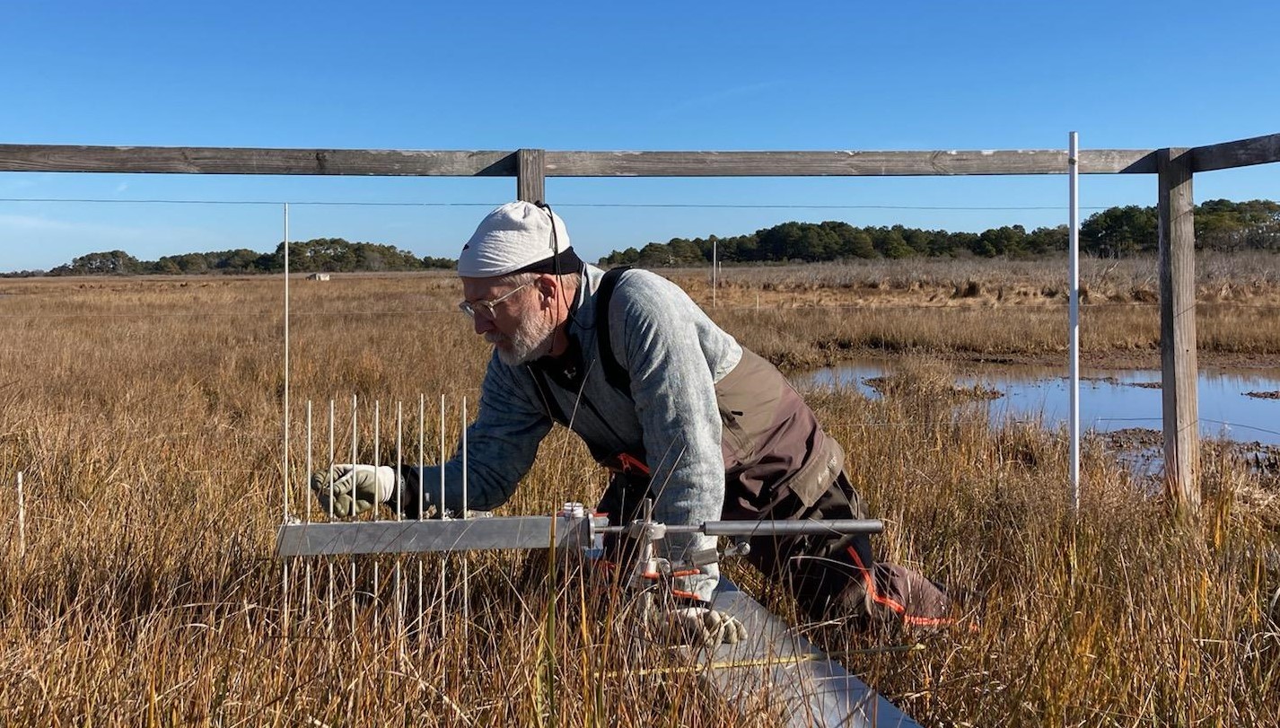 Science & Research - Assateague Island National Seashore (U.S. National ...