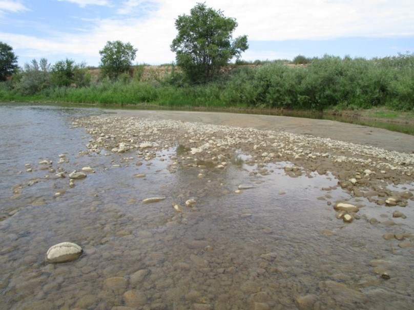 Plants - Aztec Ruins National Monument (U.S. National Park Service)
