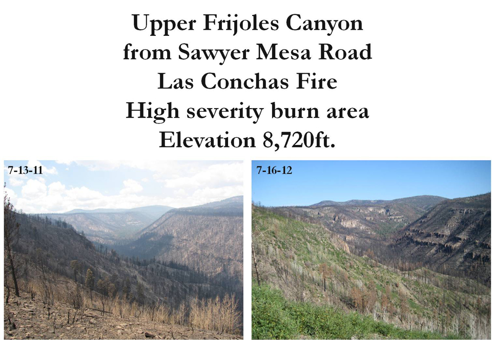 Las Conchas Fire Recovery - Bandelier National Monument (U.S. National ...