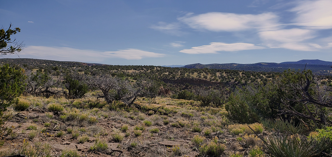 Burro Trail to Sego Lilies and back - Bandelier National Monument (U.S ...