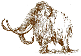 Woolly Mammoth - Bering Land Bridge National Preserve (U.S. National ...