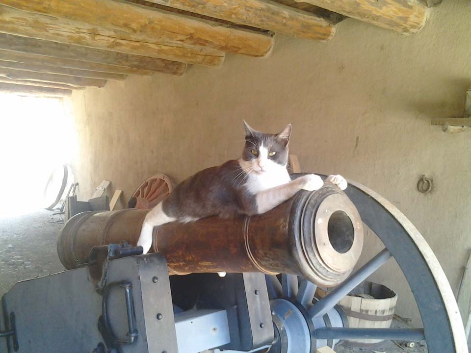 Livestock - Bent's Old Fort National Historic Site (U.S. National Park ...