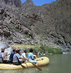 When Lady Bird Came To Big Bend - Big Bend National Park (U.S. National ...