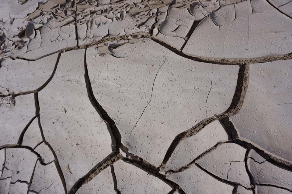 Multi-subject Photo Prompts (U.S. National Park Service)