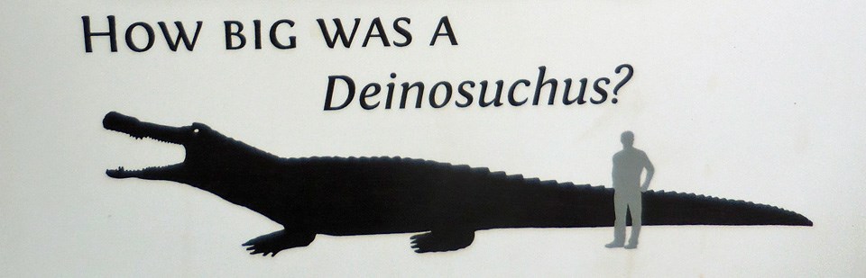 Prehistoric Crocodile Deinosuchus
