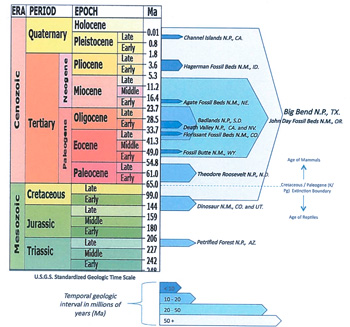 Fossils - Big Bend National Park (U.S. National Park Service)