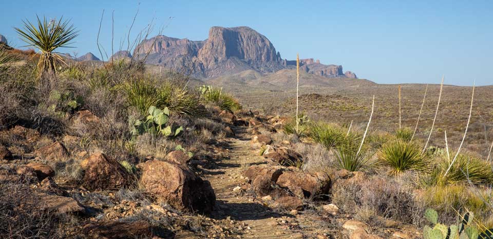 New Big Bend Trail Welcomes Hikers - Big Bend National Park (U.S ...