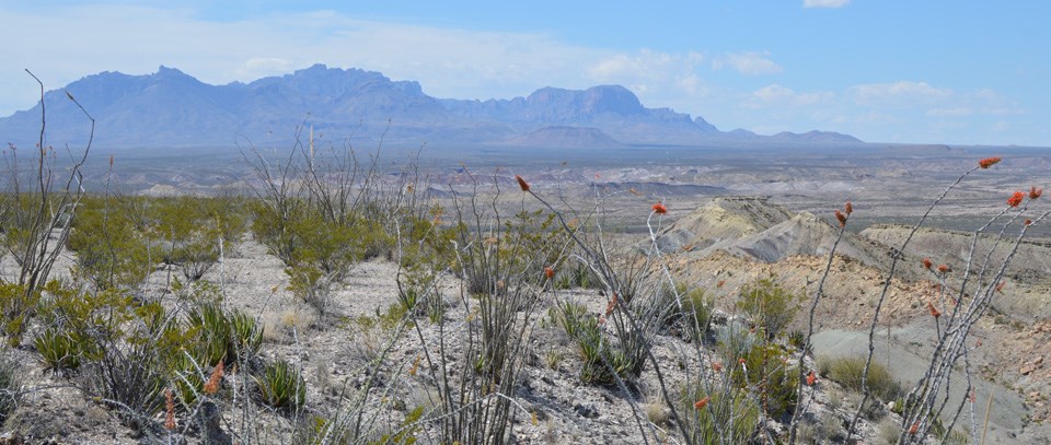 Old Ore Road - Big Bend National Park (U.S. National Park Service)