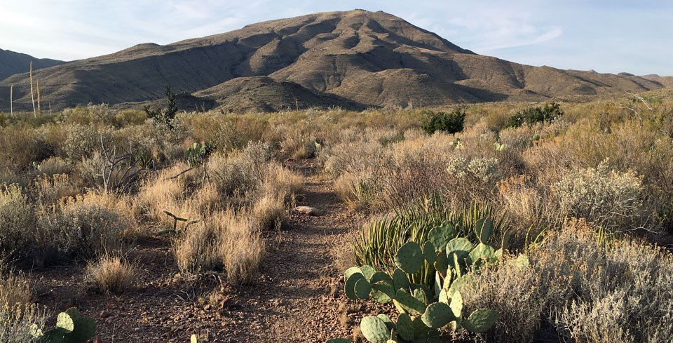 Outer Mountain Loop Route - Big Bend National Park (U.S. National Park Service)