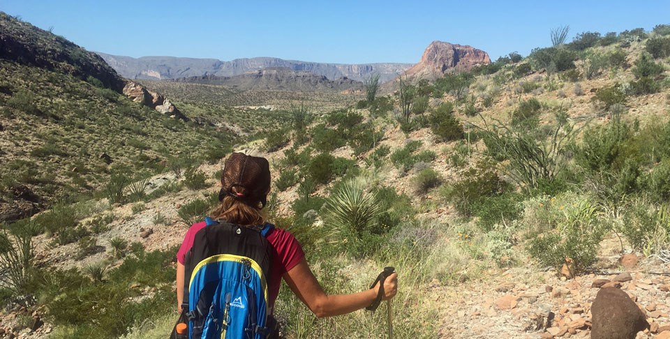 Desert Hikes - Big Bend National Park (U.S. National Park Service)