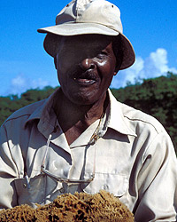 The Joneses of Porgy Key:: Arthur and Lancelot - Biscayne National Park ...